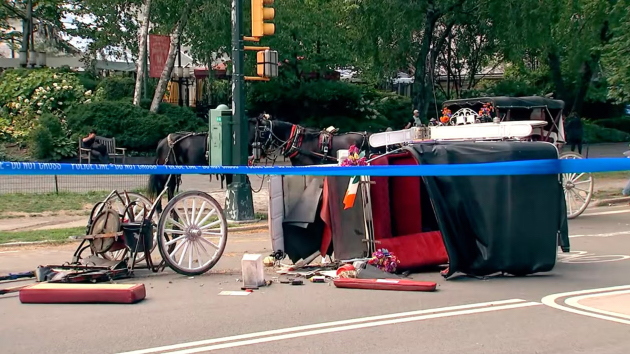 Central Park horse carriage rides temporarily suspended following death ...