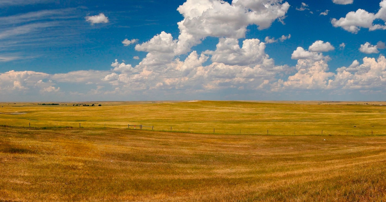 SD rancher plans ahead to weather worst effects of drought – KORN News ...